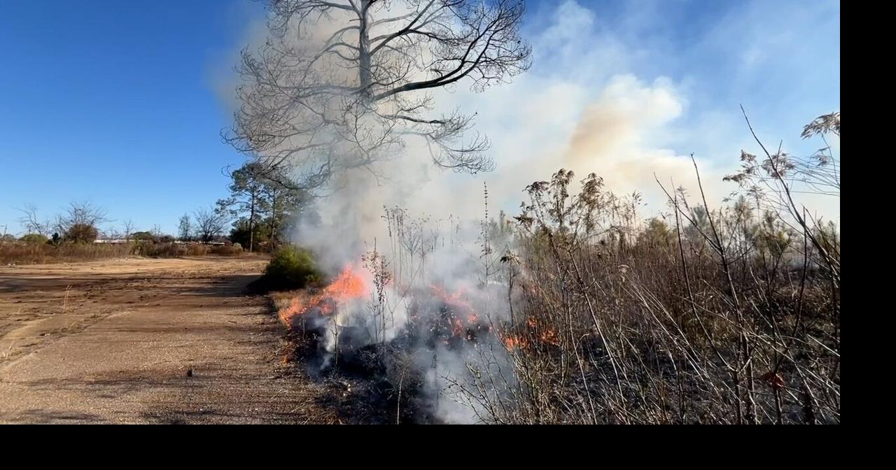 Firefighters responded to grass fire in Tupelo | Local | wtva.com