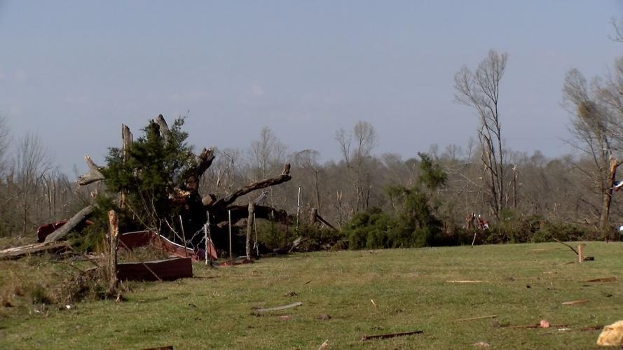 PHOTO GALLERY: Tornado damage in Wren, MS | | wtva.com