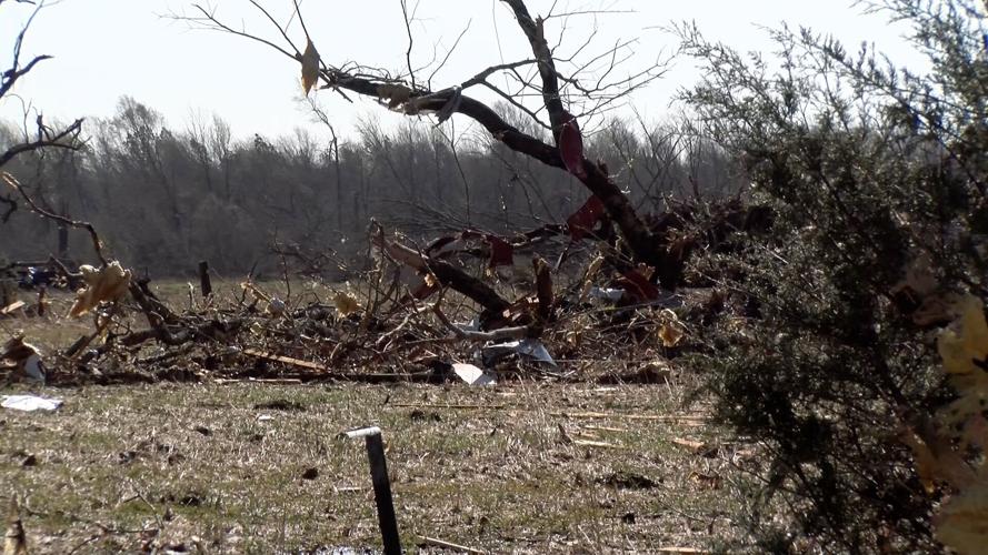 PHOTO GALLERY: Tornado damage in Wren, MS | | wtva.com