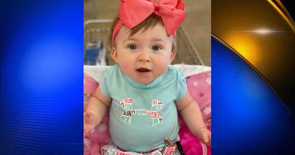 Missing Alabama infant found alive in deep ravine | Alabama | wtva.com