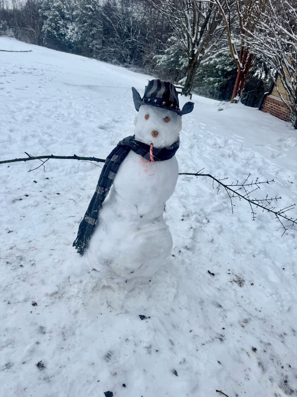 Snow pictures from Friday, Jan. 10 | Local | wtva.com