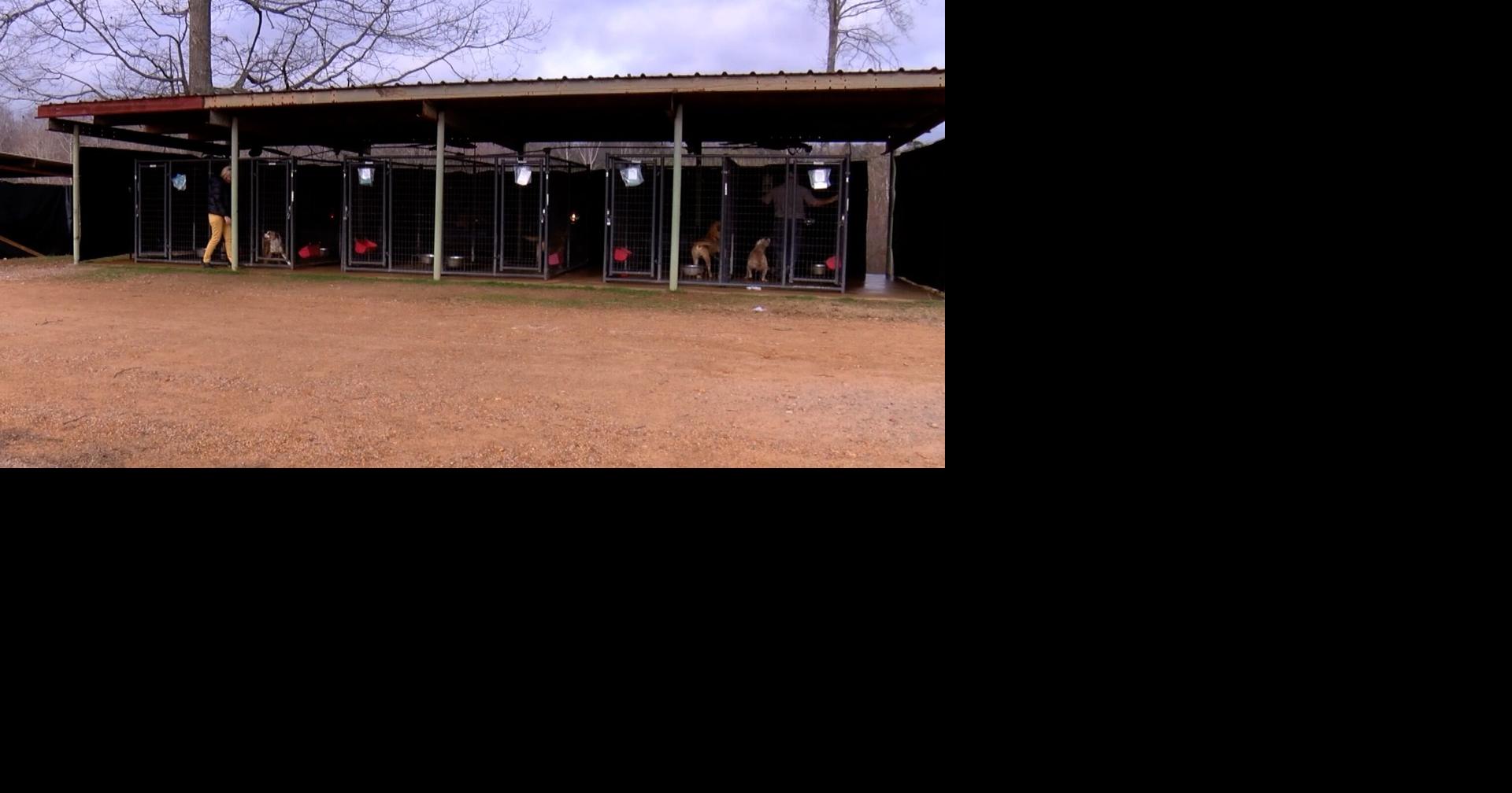 Fulton Animal Control Center expanding | News | wtva.com