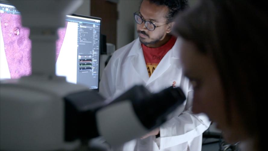 St. Jude's lab discoveries morph into life saving treatments | Local ...