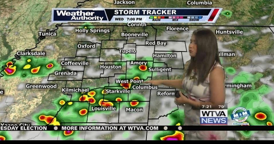We will see some more showers and storms through the day | Forecast ...