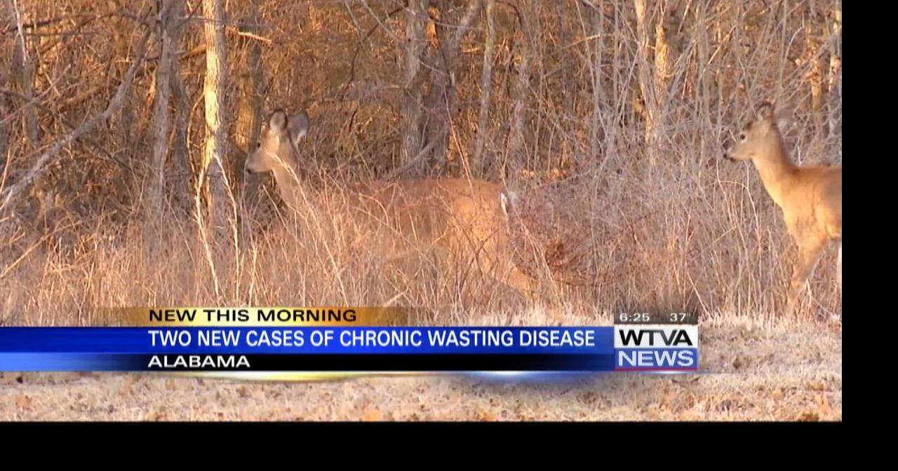 Alabama confirmed two new cases of chronic wasting disease | Video ...