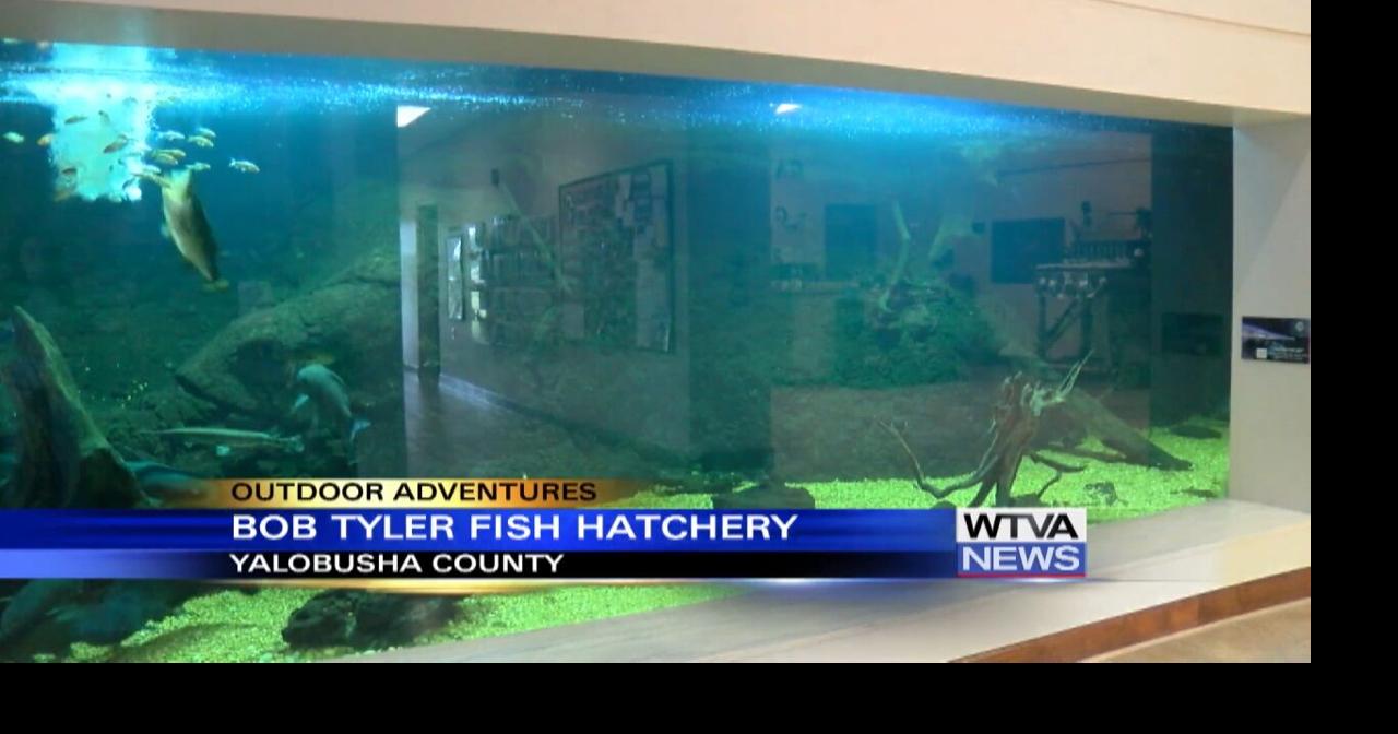 Outdoor Adventures with Chelsea: Bob Tyler Fish Hatchery | Outdoor ...