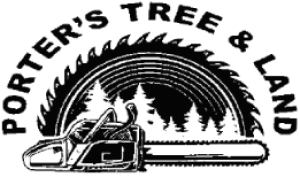 Gazette-Mail Marketplace | wvgazettemail.com