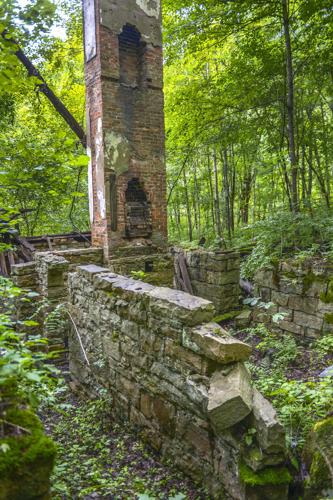 Passage of time, rebounding forest slowly obliterating coal camp of ...