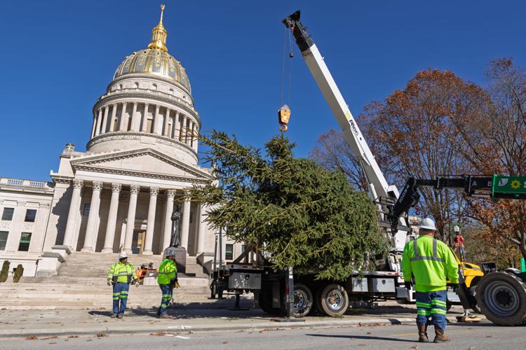 2025 Capitol Christmas trees delivered to Charleston, WV | Kanawha ...