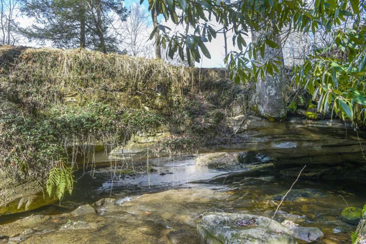 Natural bridges bring natural beauty | News | wvgazettemail.com