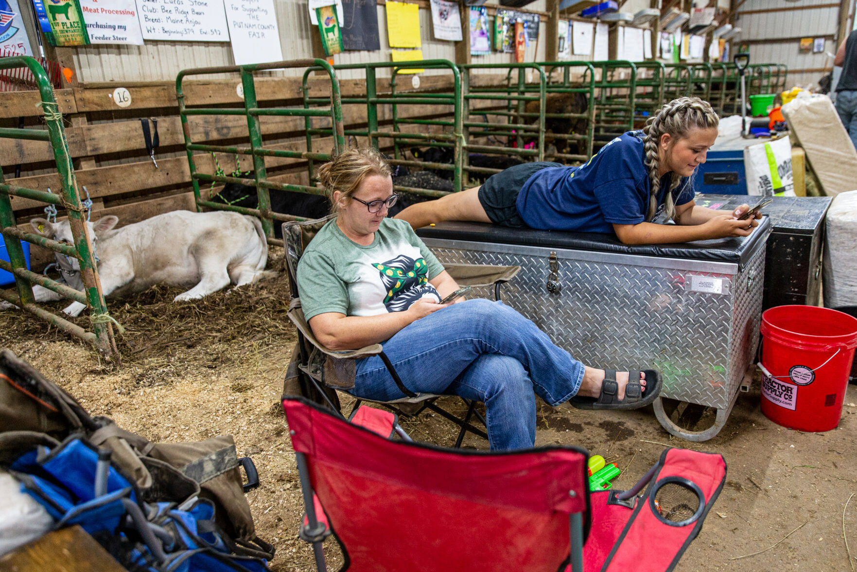 2024 Putnam County Fair brings entertainment, live music | Putnam County | wvgazettemail.com