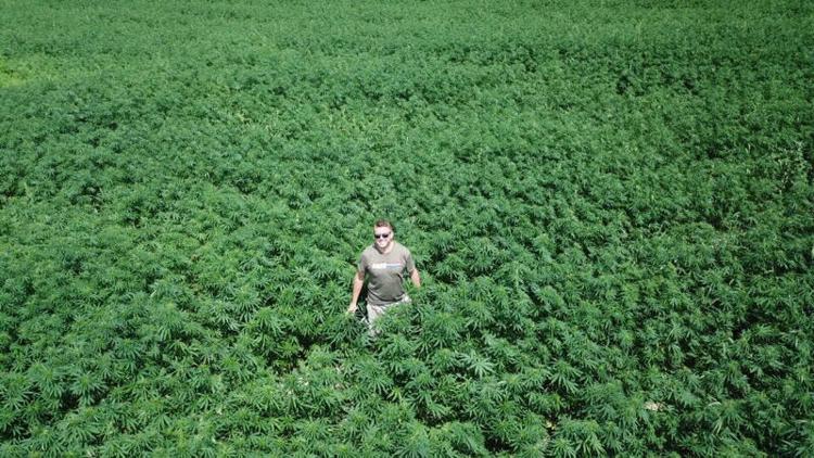 US attorney files civil suit against WV hemp farm | Politics ...