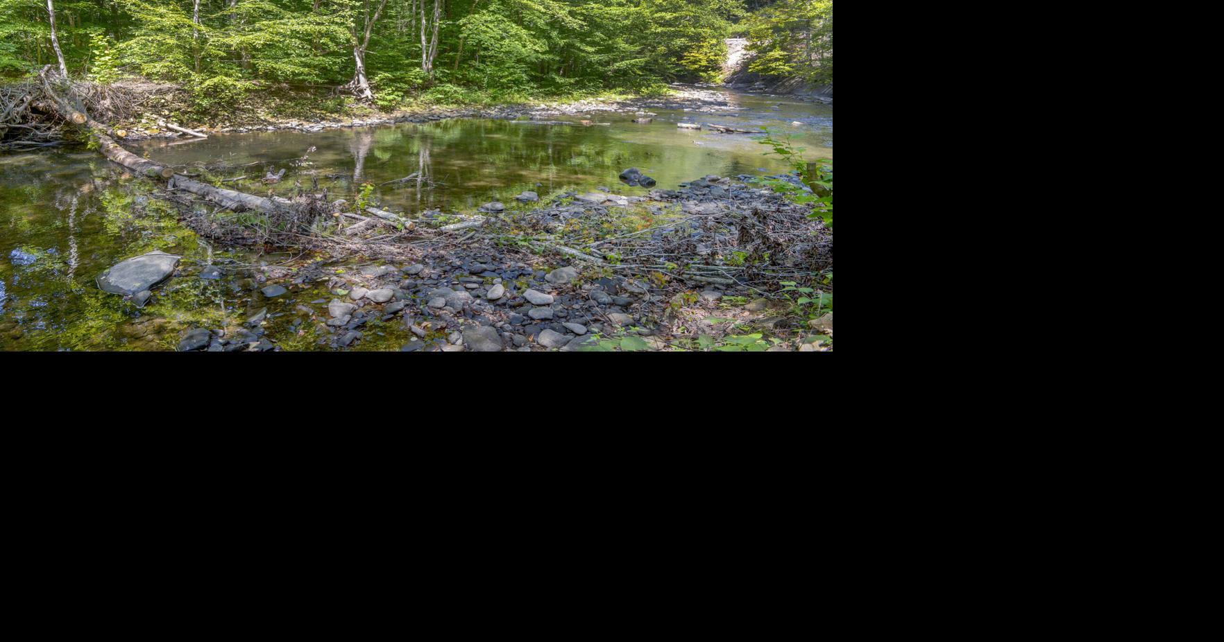 DEP 'awaiting results' of Paint Creek soil sampling | Kanawha Valley ...