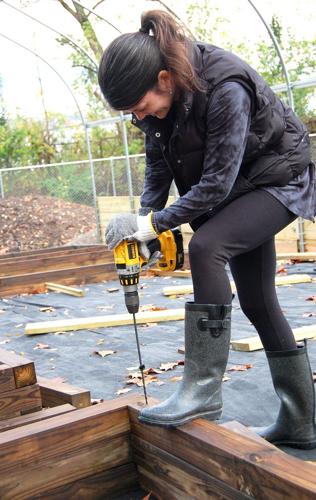 Rock Branch Elementary installing ‘high tunnel’ garden for raising ...