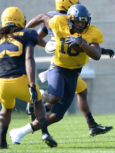 Dave Hickman: Freshman making strides at QB | Sports | wvgazettemail.com