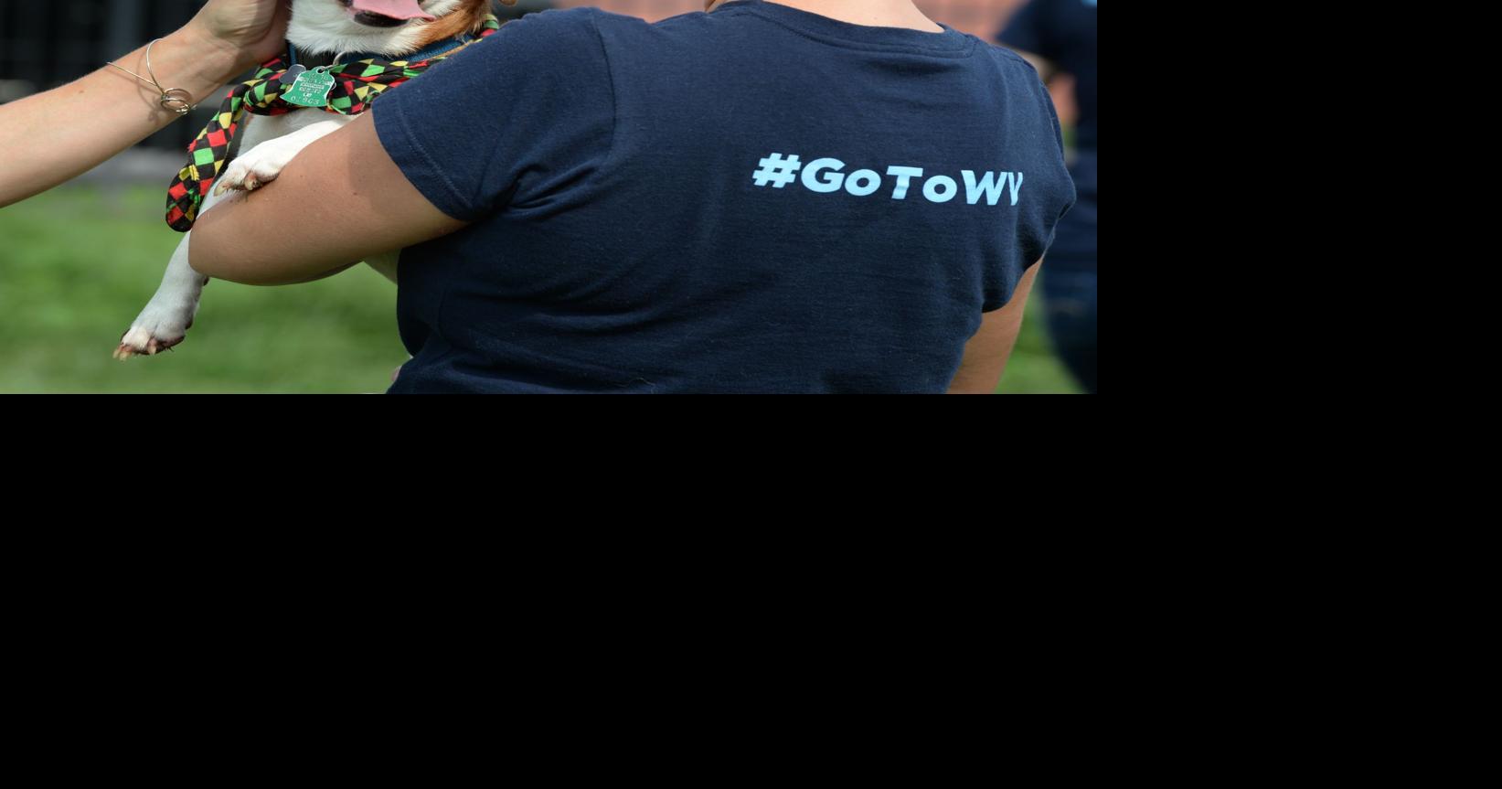 New guide lists drool-worthy West Virginia pet-friendly vacation sites ...