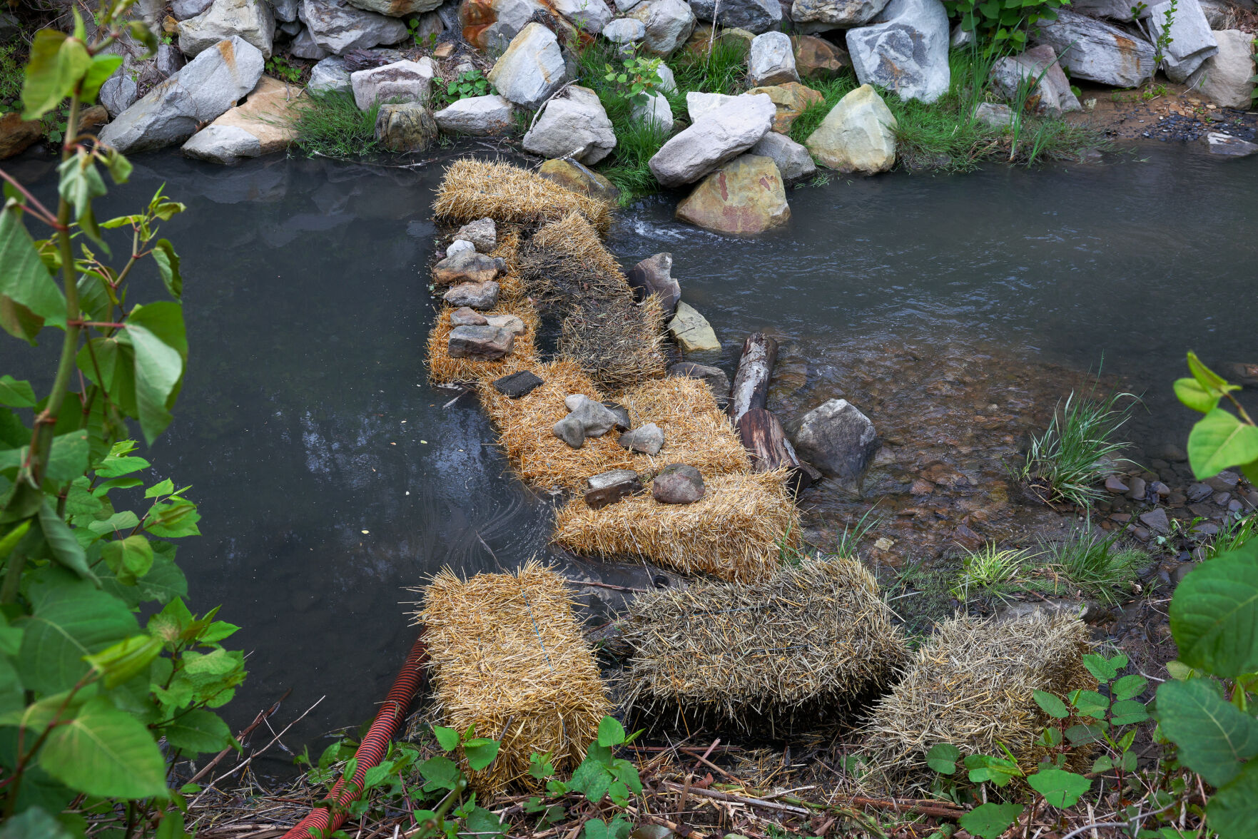 Fields Creek runs black with coal sediment following spill | Energy and ...