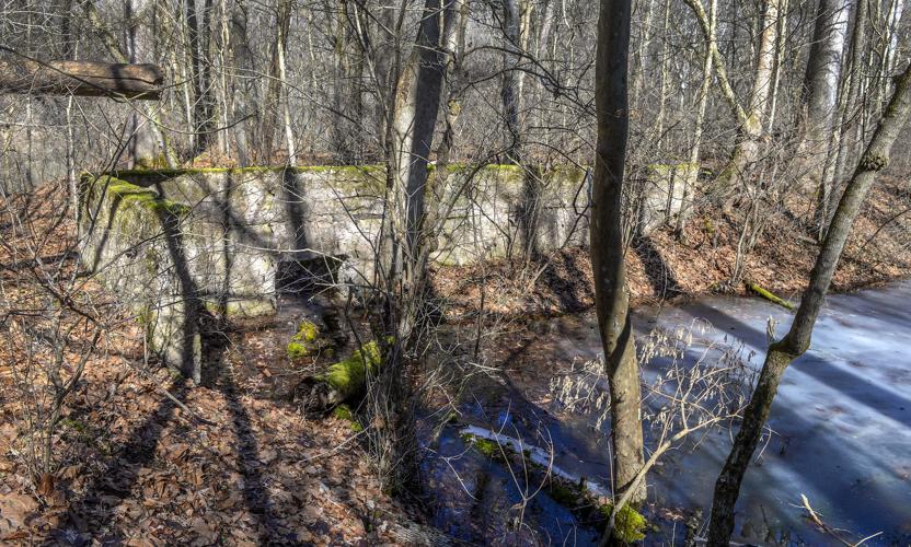 When its sawmill ran out of trees to process, Gorge hamlet of Hamlet ...