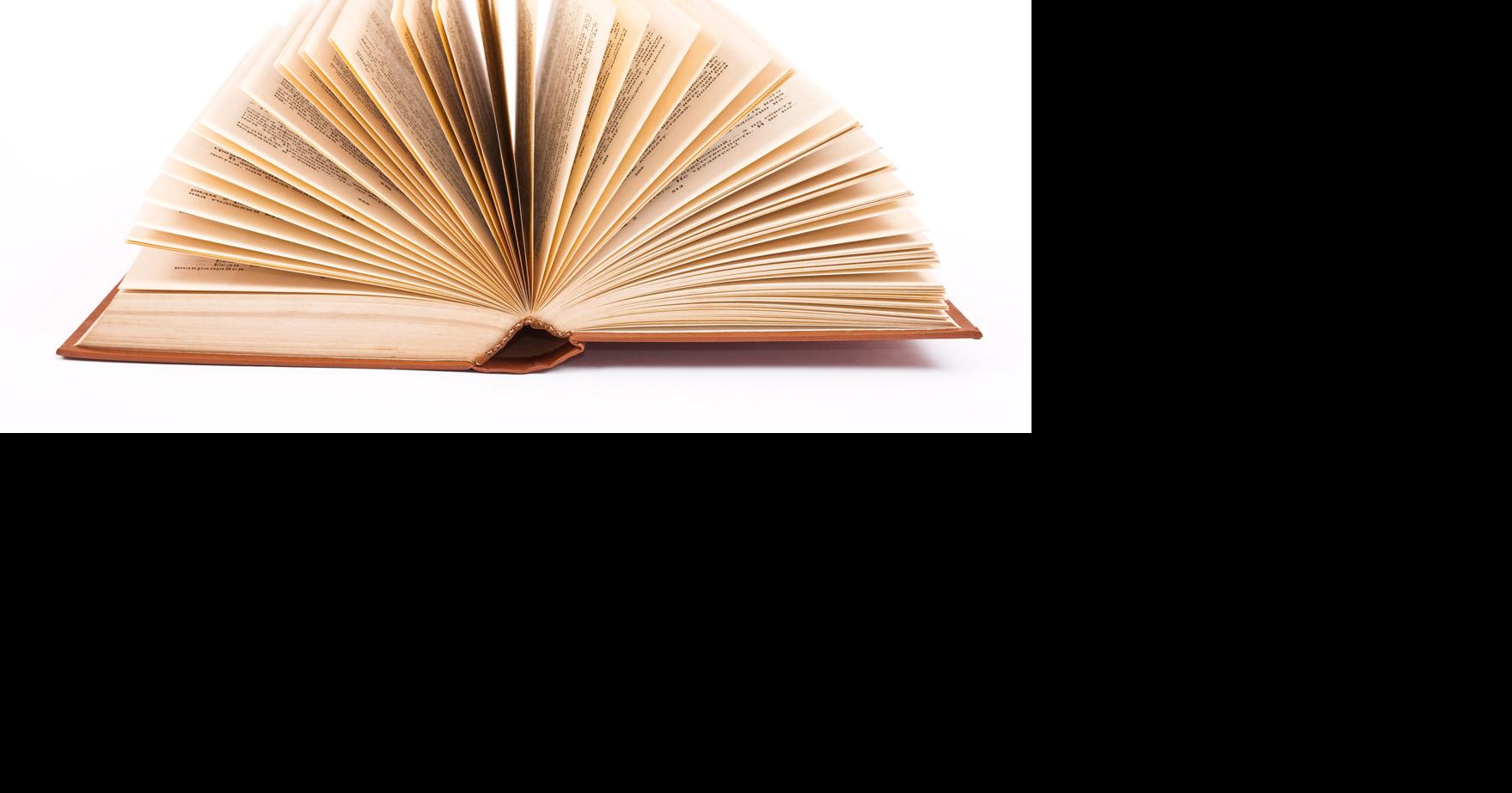 Pam Good: Illiteracy rates must be addressed (Opinion) | Op-Ed ...