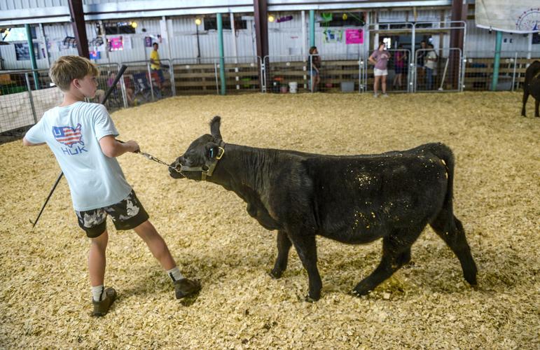 2024 Putnam County Fair in Eleanor, WV: Things to know | Putnam County ...