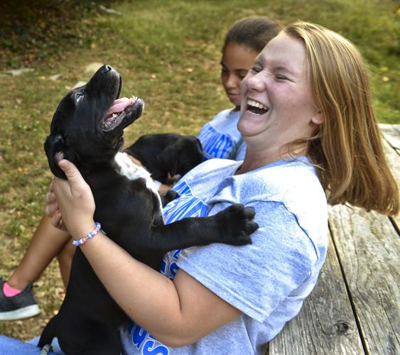 Kenny Kemp's favorite photos of 2019 | News | wvgazettemail.com