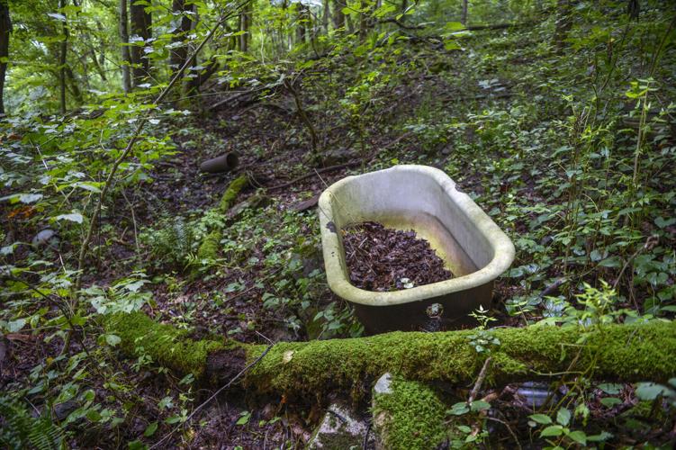 Passage of time, rebounding forest slowly obliterating coal camp of ...