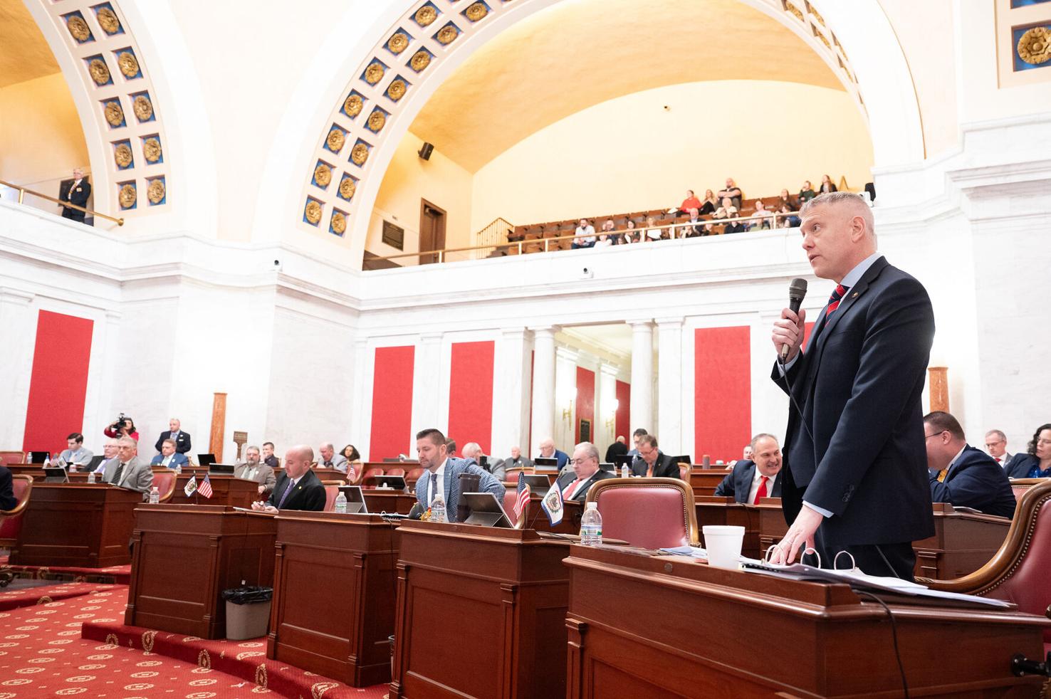 WV Senate votes to turn over some foster care services | Legislative ...