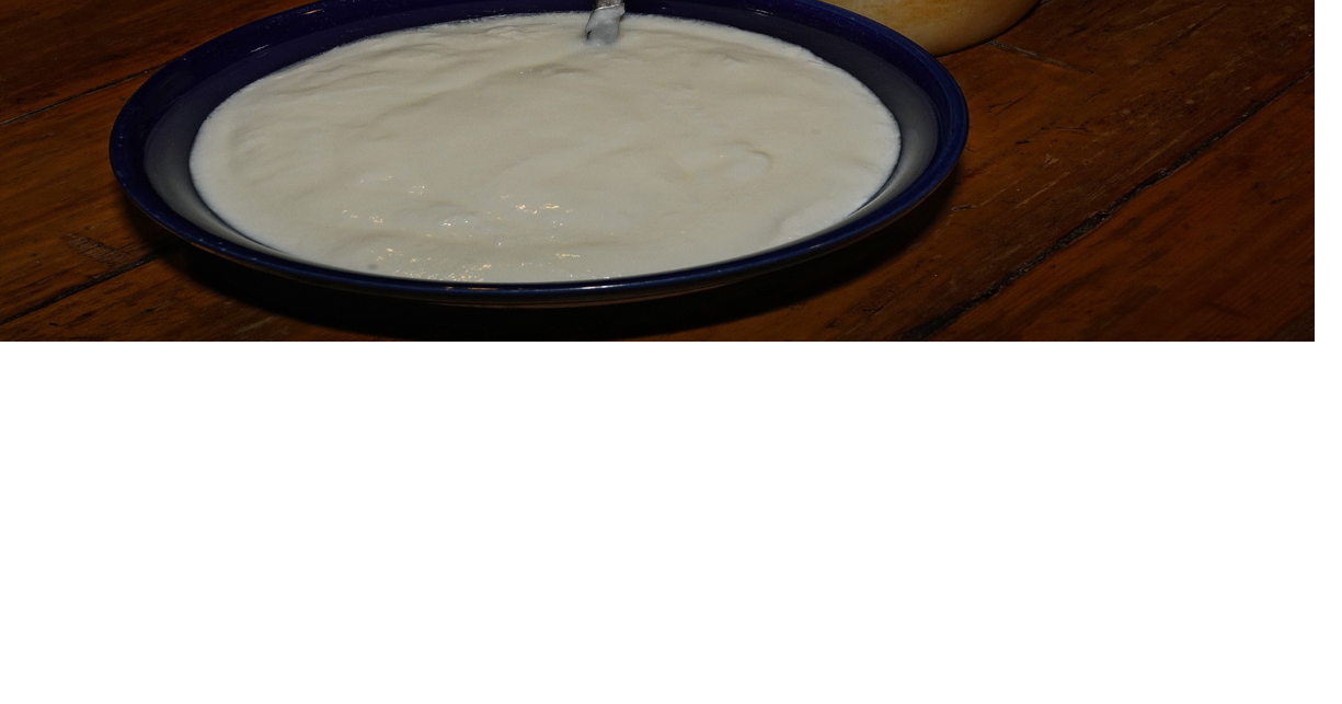 On the Other Side of the Mountain: Probing into probiotic foods | Food ...