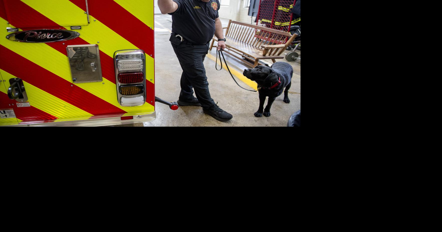 Photos: Meet Pancake, the Charleston Fire Department's first accelerant ...