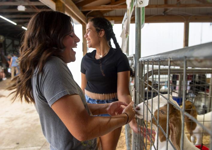 2025 Putnam County Fair welcomes locals through July 19 | Putnam County | wvgazettemail.com