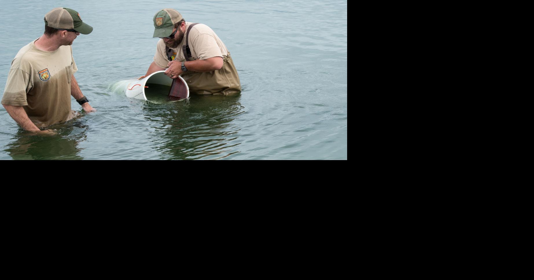 WV DNR creates catfish 'love shacks' to boost hatchery production ...