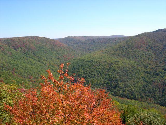 Vines & Vittles: A tasty and tasteful visit to Tucker County | Vines ...