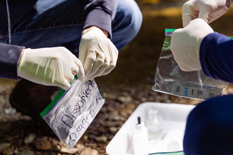 Spring Valley students test water quality for River Watchers ...