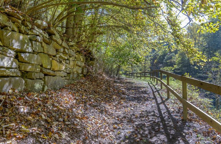 Chasing waterfalls: Piney Creek Preserve opens first trail to public ...