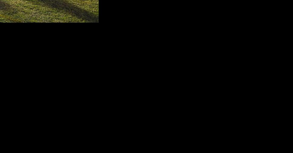 Hoover High Huskies play final football game at Cowley Field | Metro ...