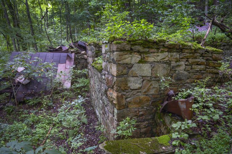 Passage of time, rebounding forest slowly obliterating coal camp of ...