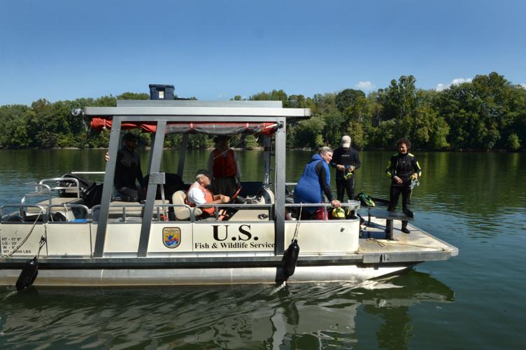 Team effort brings mussel, once feared extinct, back to Ohio River ...