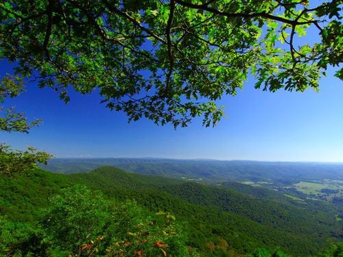 Highland Scenic Highway provides access to that which is wild and ...