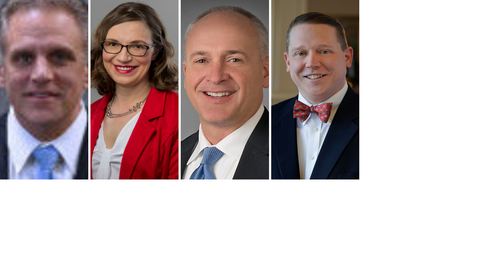 Two Democrats, two Republicans run to represent Ward 15 on Charleston ...