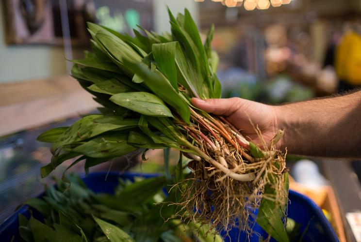Wild ramp season brings out the best of West Virginia | News ...