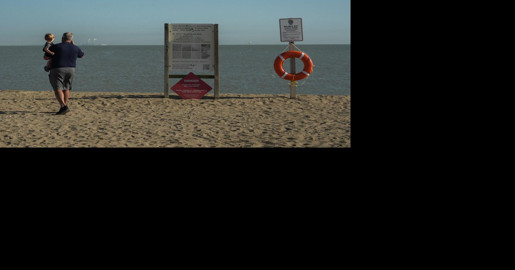 Researchers in a lab near Lake Erie study how toxic algae can damage ...