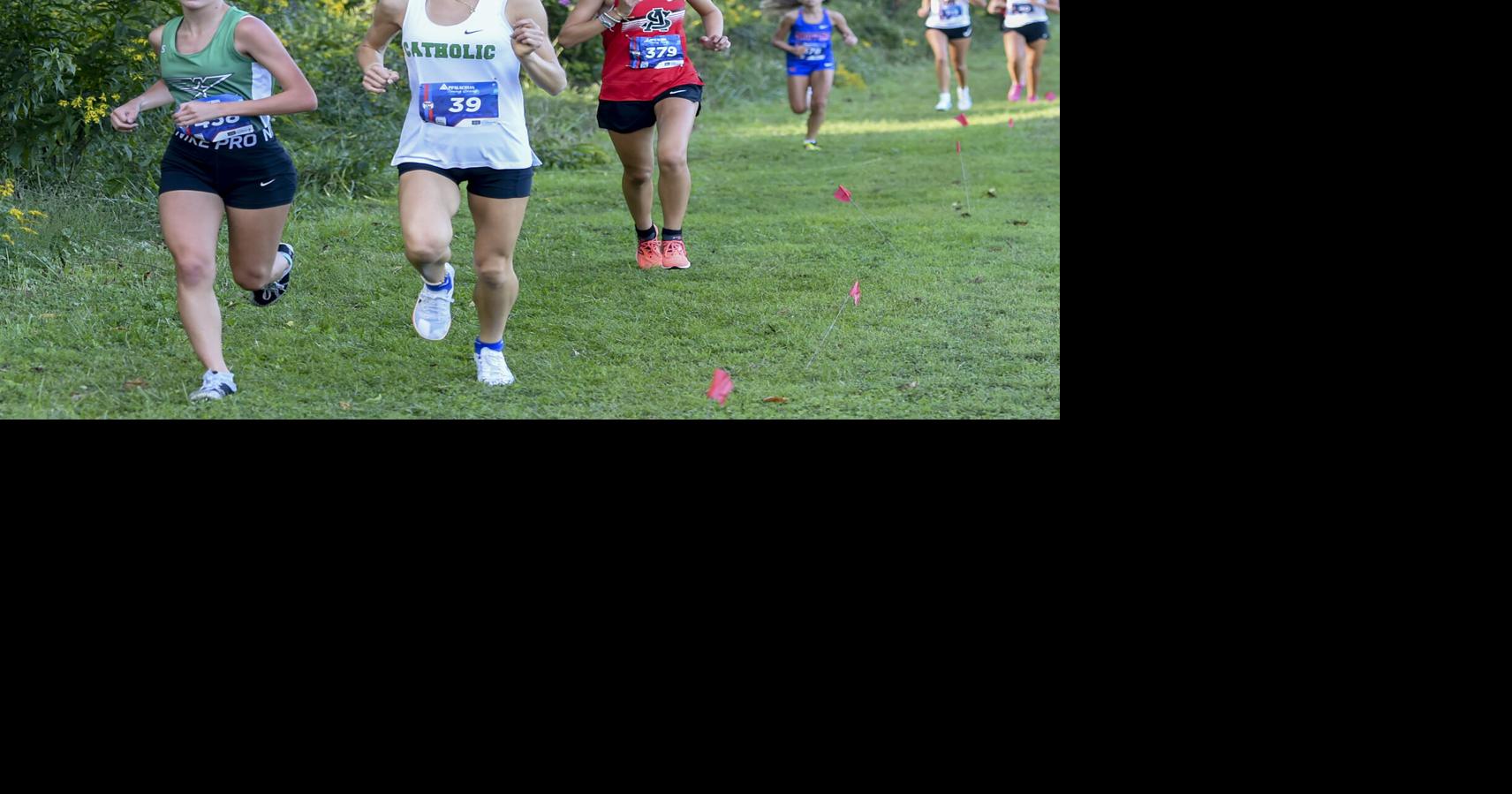 Prep cross country: Area runners prepare for state meet at Cabell ...
