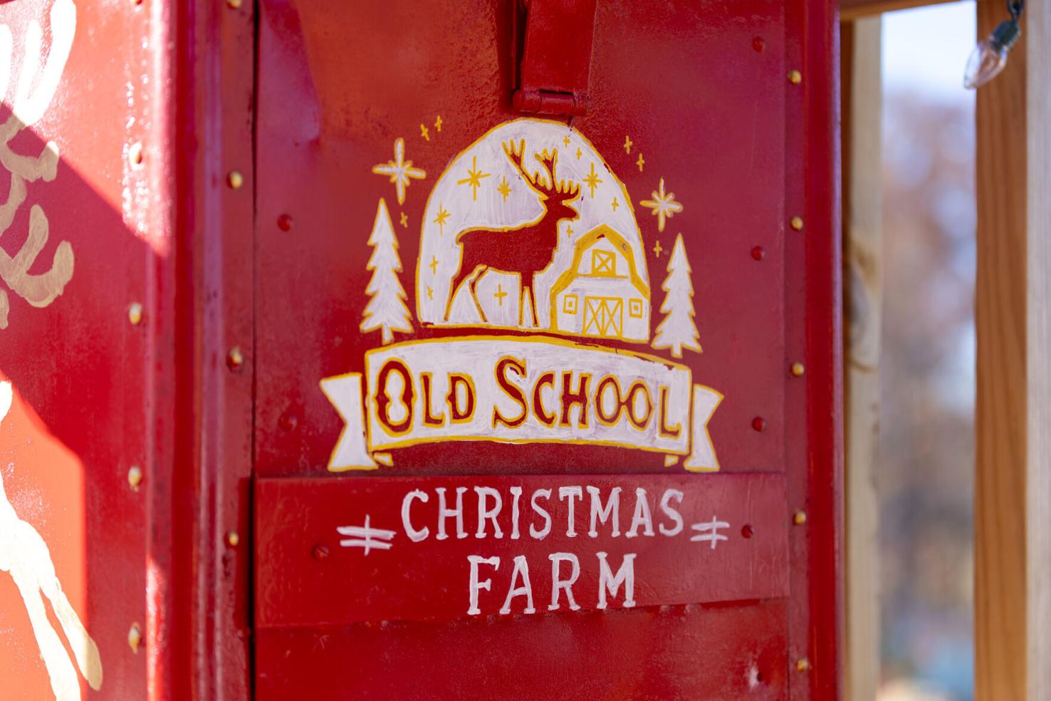West Virginia's only reindeer at Old School Christmas Farm | Putnam ...