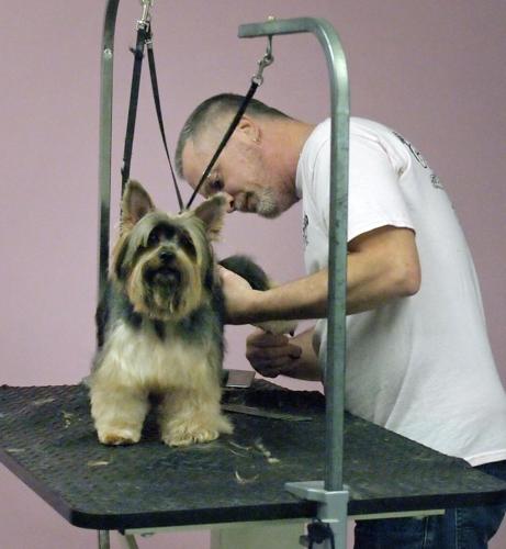 Good Shepherd Veterinary Hospital expansion benefits area pets | Metro ...