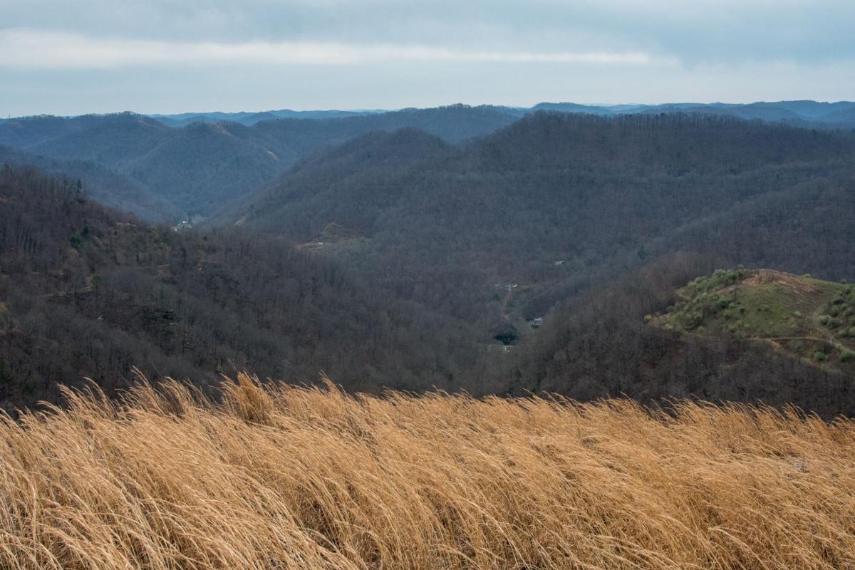 Hunters seek ATV access to WV's largest wildlife management area | News ...
