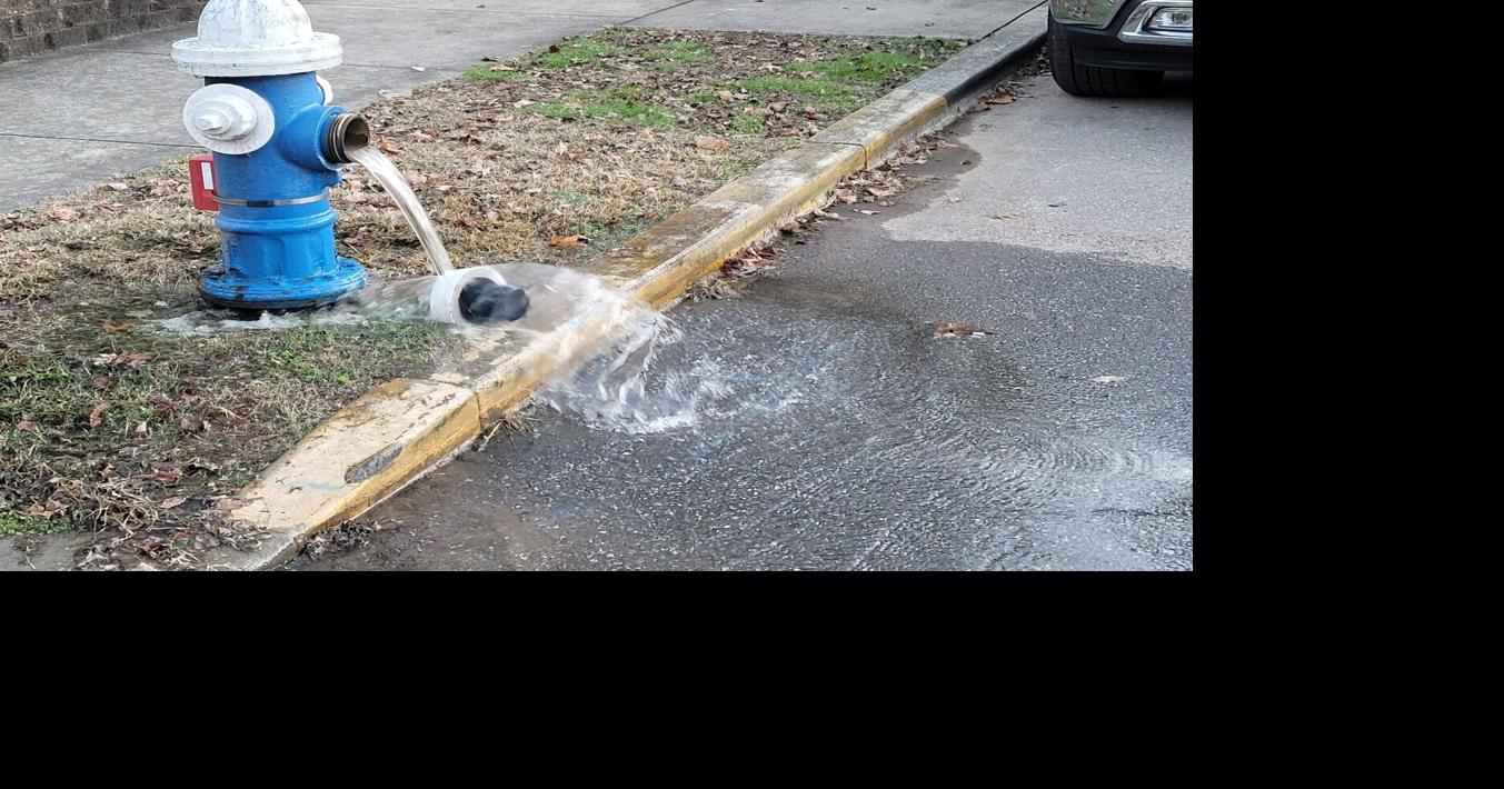 Fire hydrant oversight in WV 'unacceptable' | Energy and Environment ...