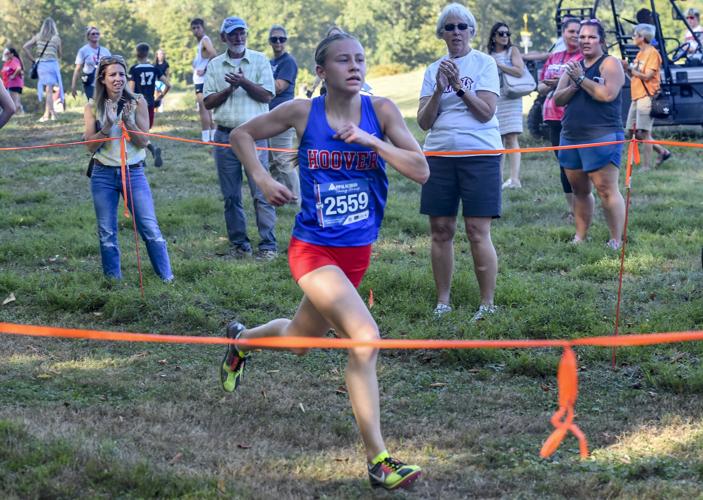 cross barton sandford devon