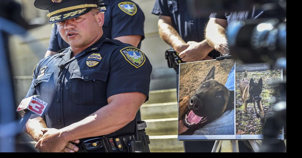 City, Charleston Police Department and former chief sued | Legal ...