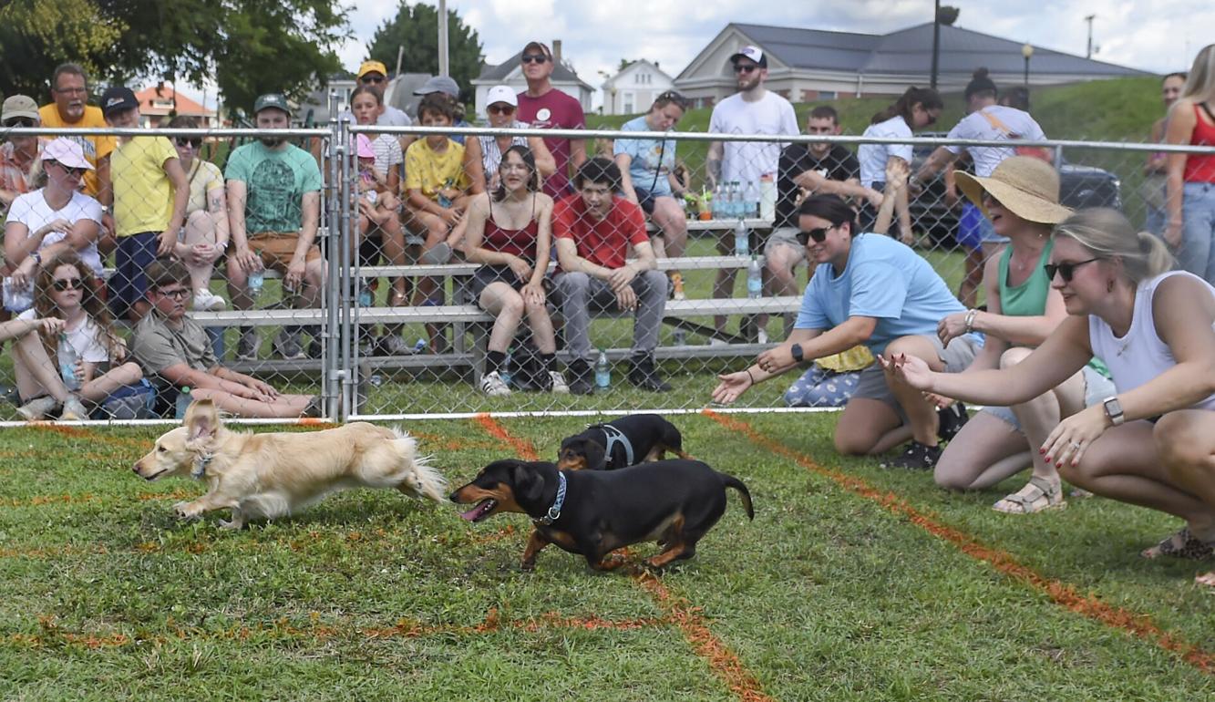Photos: 2024 Charleston Sternwheel Regatta, Day 4 | Charleston ...