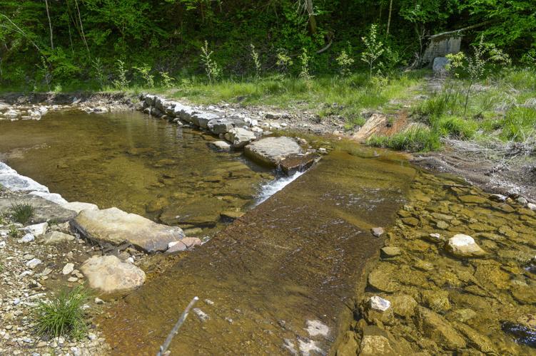 Trade of silty, 2-acre lake for mile-long trout stream now completed in ...
